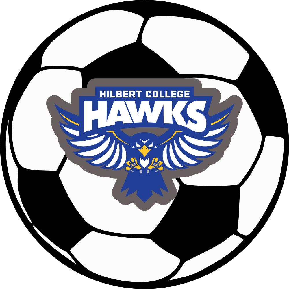 Hilbert Soccer – CustomBit